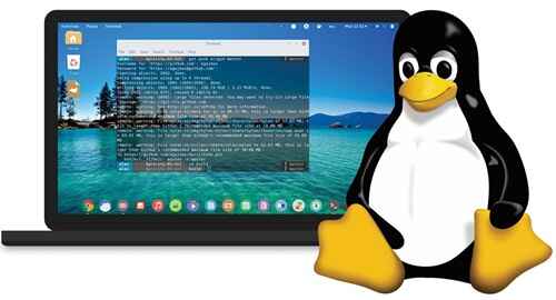 Linux Unhatched - Ezxprt - CISCO Networking Academy